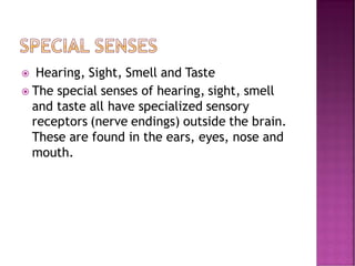 SPECIAL SENSES - part .............1.pdf