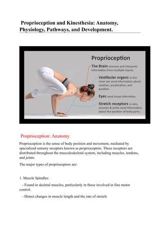 special senses-proprioception and kinesthic.docx