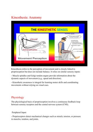 special senses-proprioception and kinesthic.docx