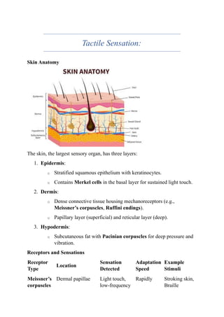 special senses-tactile sensation, explanation | PDF