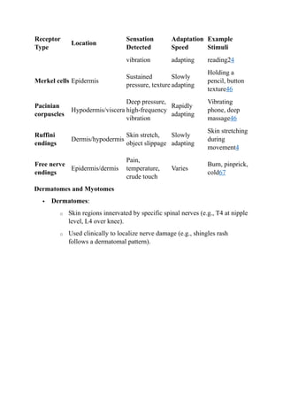 special senses-tactile sensation, explanation | DOCX