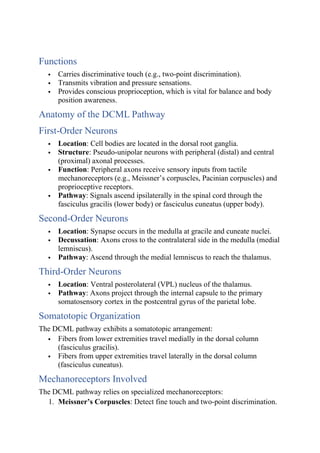special senses-tactile sensation, explanation | DOCX