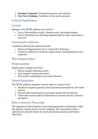special senses-tactile sensation, explanation | DOCX