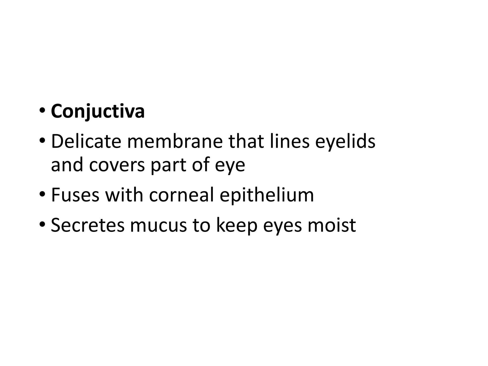 SPECIAL SENSES - eye , ear, taste, touch WPS Office.pptx