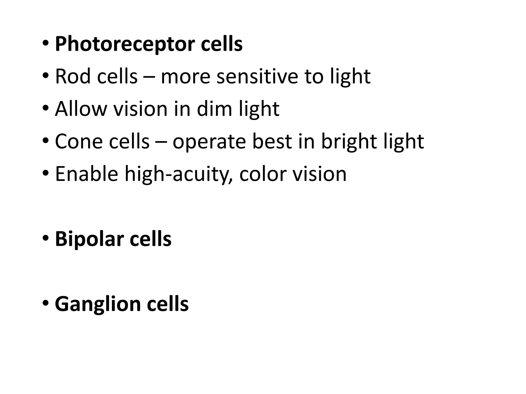 SPECIAL SENSES - eye , ear, taste, touch WPS Office.pptx