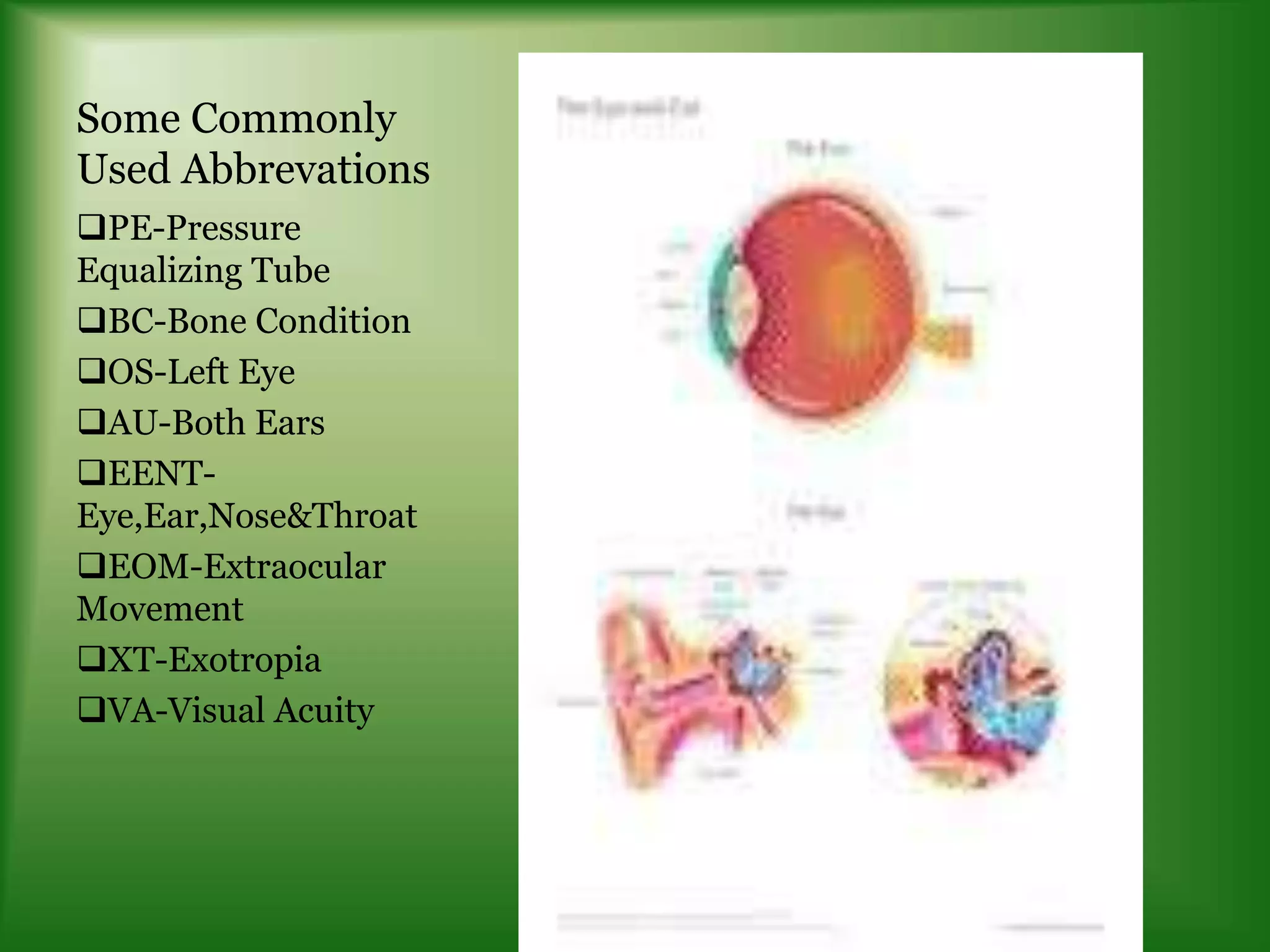 Special senses 1 | PPTX