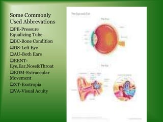 Special senses 1 | PPTX | Eye and Vision Conditions | Diseases and ...