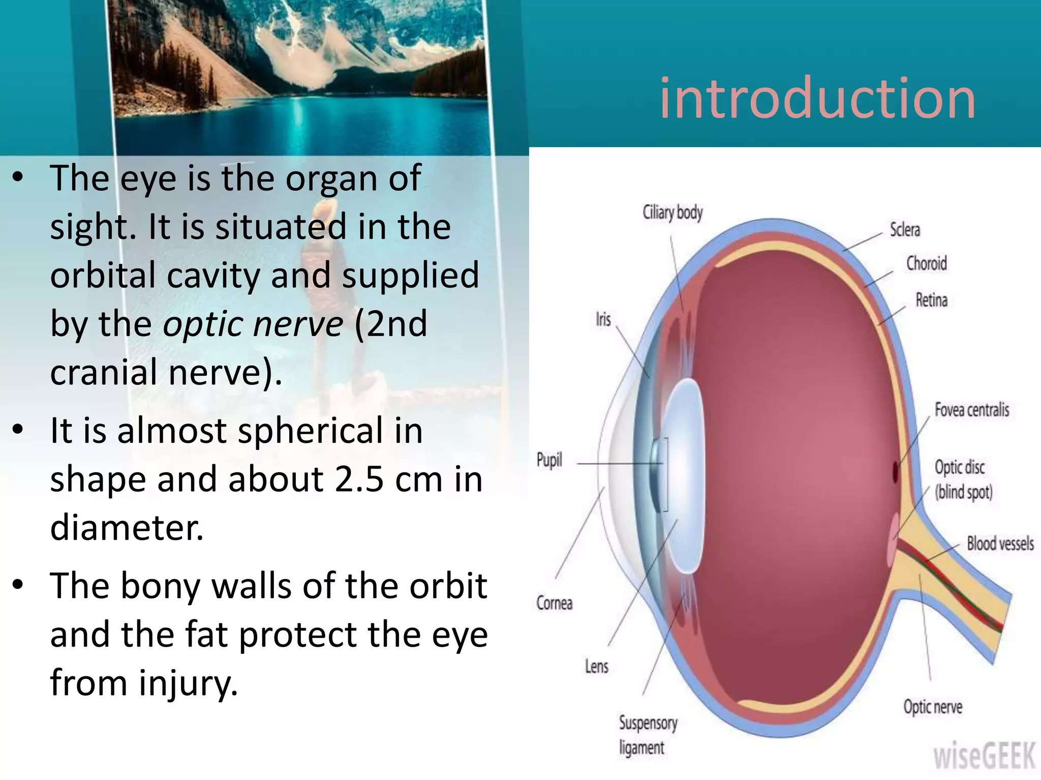 Anatomy and Physiology of Special senses | PPTX