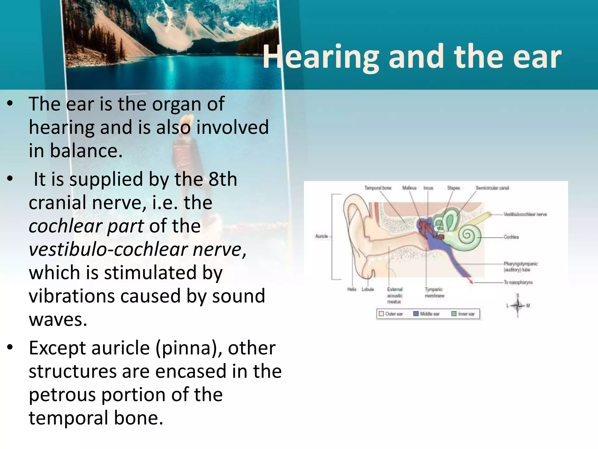 Anatomy and Physiology of Special senses | PPTX