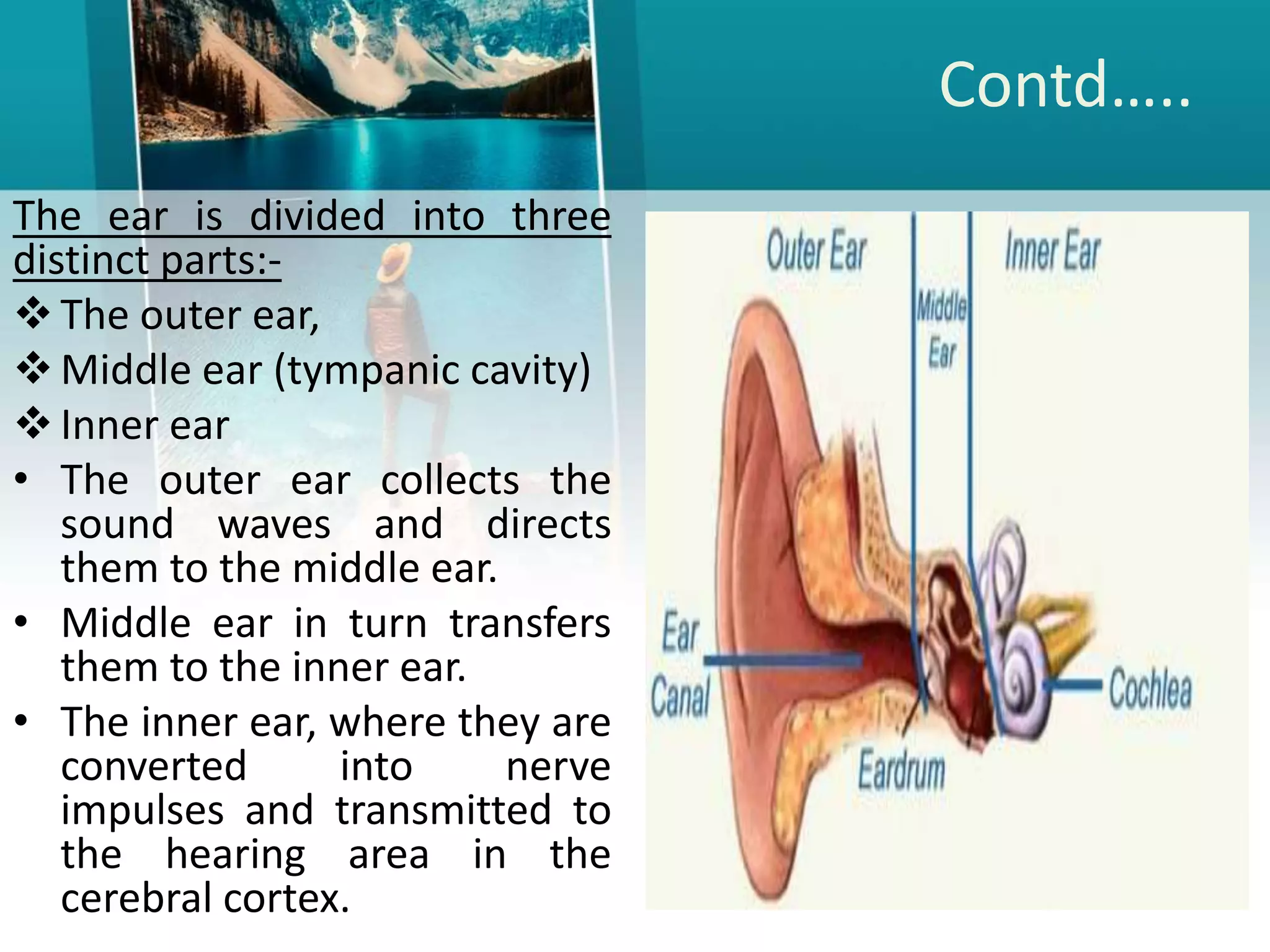 Anatomy and Physiology of Special senses | PPTX