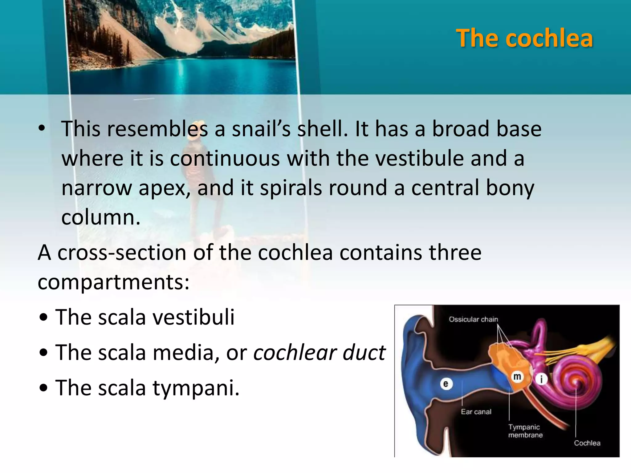 Anatomy and Physiology of Special senses | PPTX