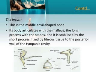 Anatomy and Physiology of Special senses | PPTX