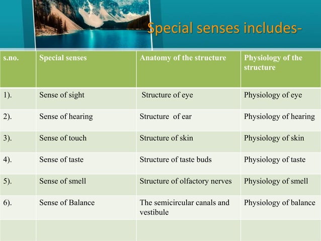 Anatomy and Physiology of Special senses | PPTX