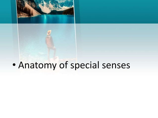 Anatomy and Physiology of Special senses | PPTX