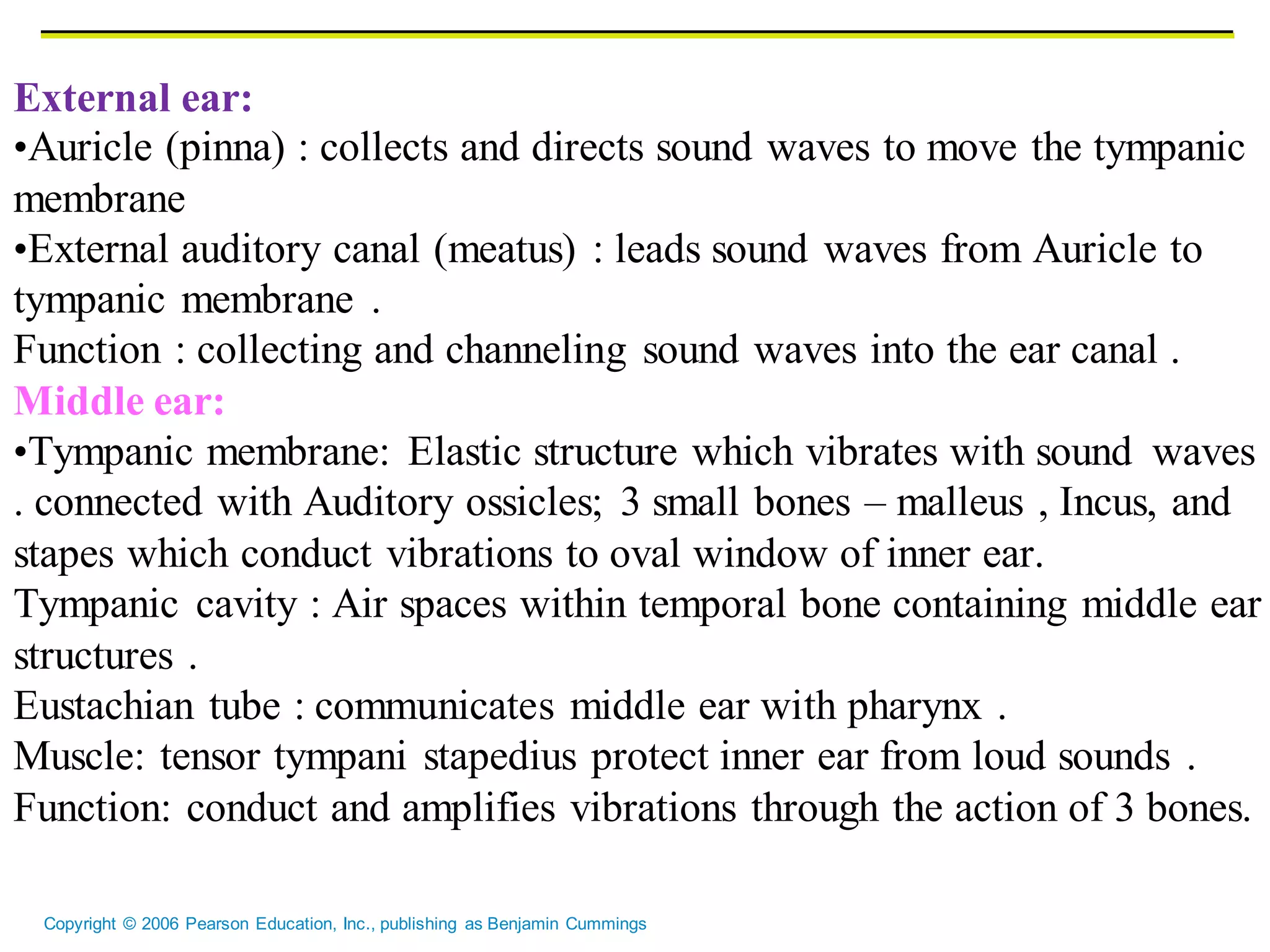 Special senses eye and ear | DOCX