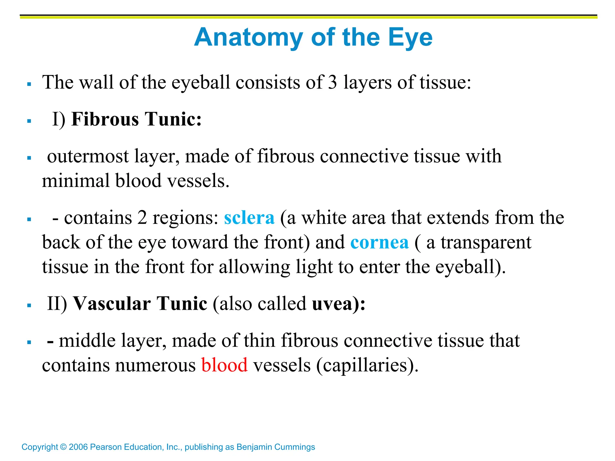 Special Senses Eye and Ear and their olfactory receptors | PDF