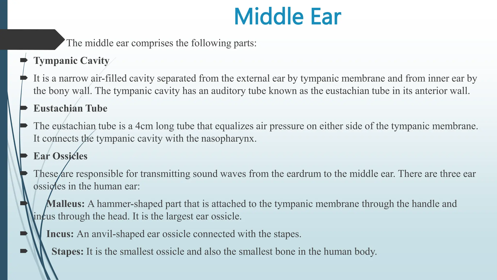 Special Senses (Eye -vision & Ear-hearing). | PPTX