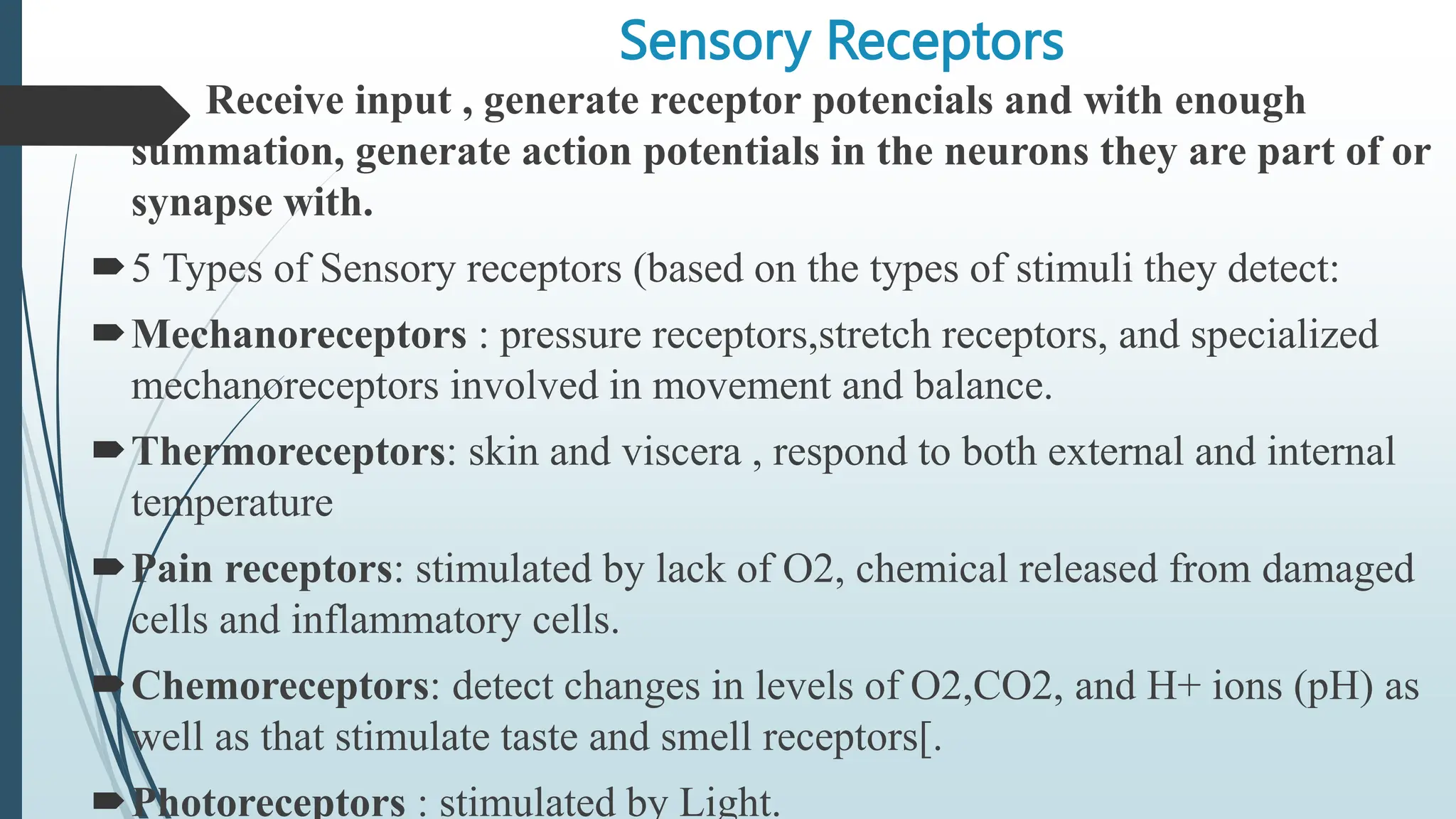 Special Senses (Eye -vision & Ear-hearing). | PPTX