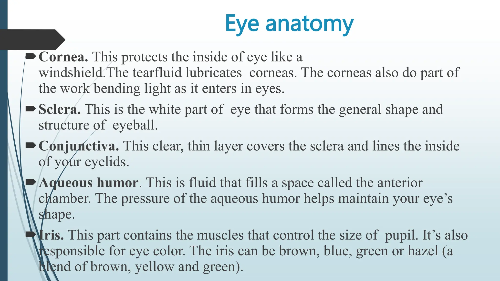 Special Senses (Eye -vision & Ear-hearing). | PPTX