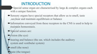 Special Senses (Eye -vision & Ear-hearing). | PPTX