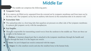 Special Senses (Eye -vision & Ear-hearing). | PPTX