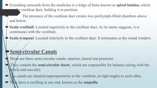 Special Senses (Eye -vision & Ear-hearing). | PPTX
