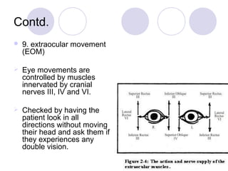 Special senses eyes and ears | PPT | Ear, Nose and Throat Conditions ...