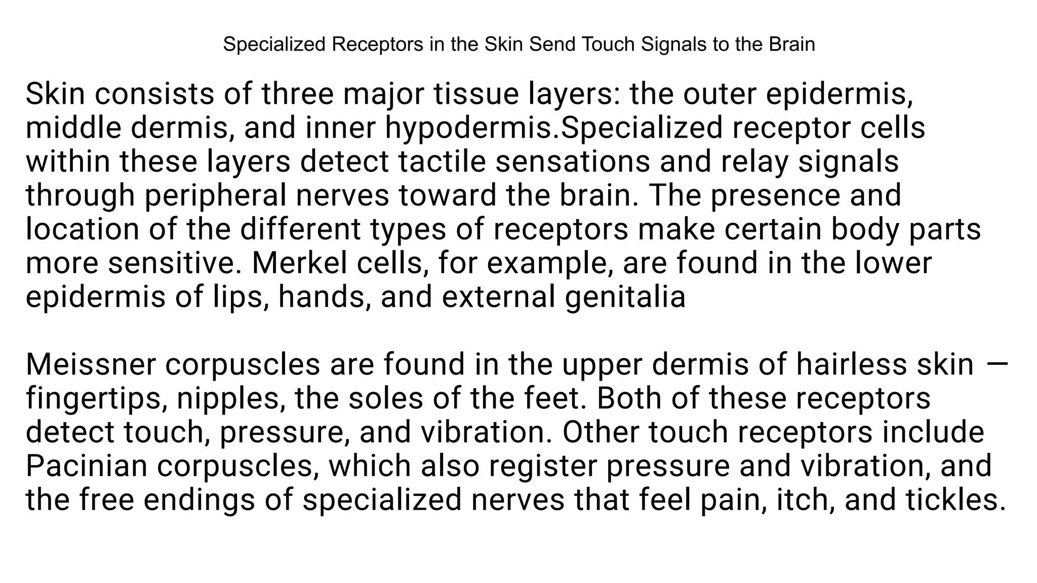 special senses ppt.pptx