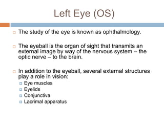 Special senses presentation | PPTX | Eye and Vision Conditions ...