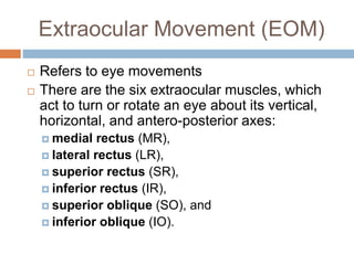 Special senses presentation | PPTX | Eye and Vision Conditions ...