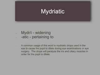 Special senses presentation | PPTX