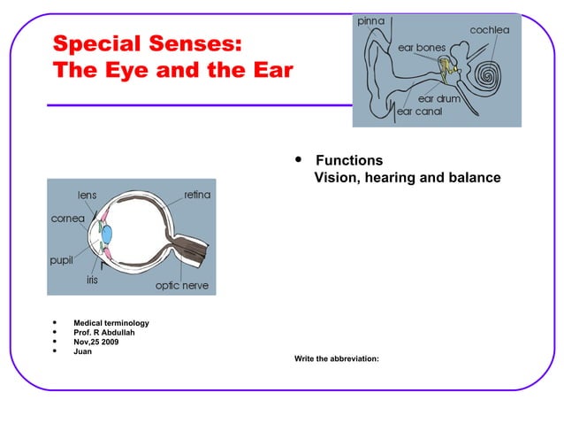 Special Senses The Eye And The Ear | PPT