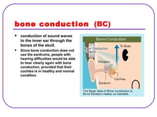 Special Senses The Eye And The Ear | PPT
