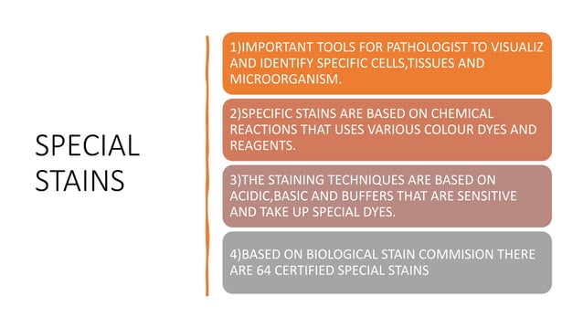 Special Stain.pptx