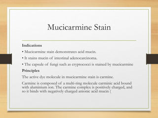 Special Stain for Carbohydrate.pptx