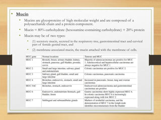 Special Stain for Carbohydrate.pptx
