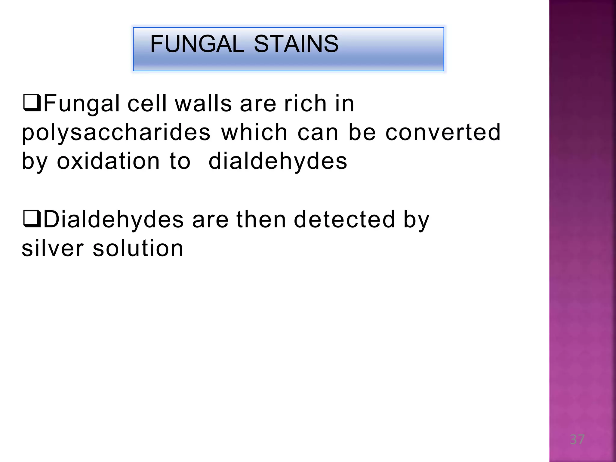 Special Staining.pptx