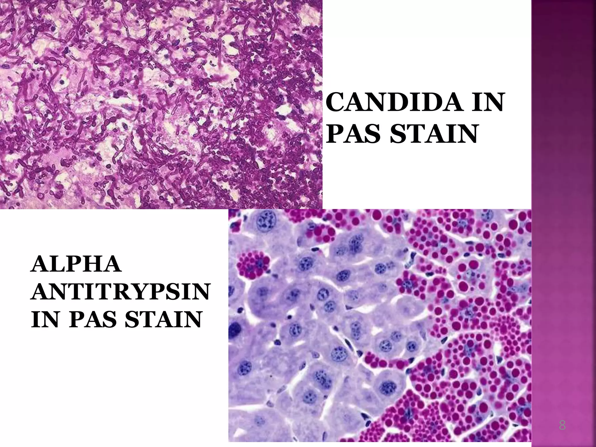 Special Staining.pptx