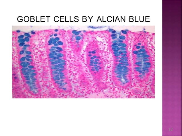 Special Staining.pptx