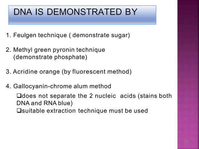 Special Staining.pptx