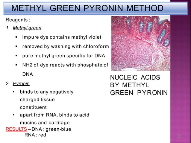 Special Staining.pptx