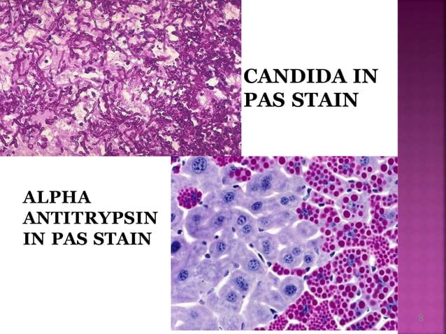 Special Staining.pptx