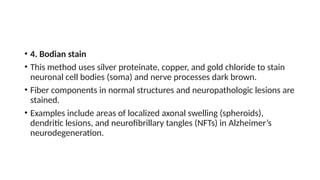 Special Staining ppt veterinary pathology | PPTX
