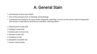 Special Staining ppt veterinary pathology | PPTX