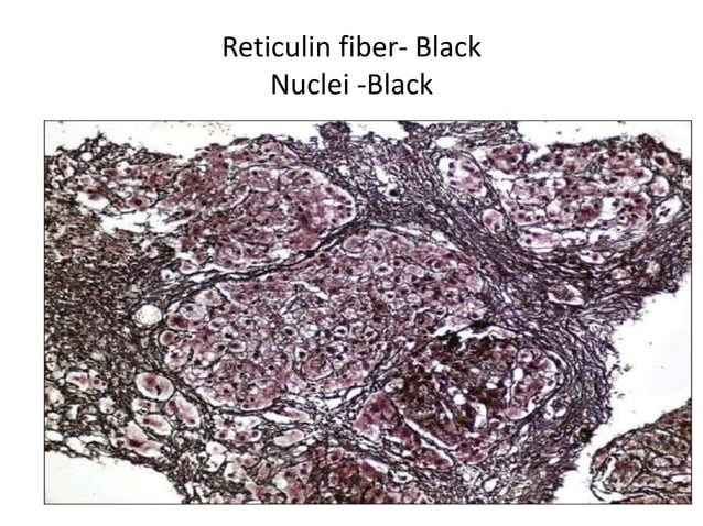 Special stain in histopathology | PPTX | Chemistry | Science