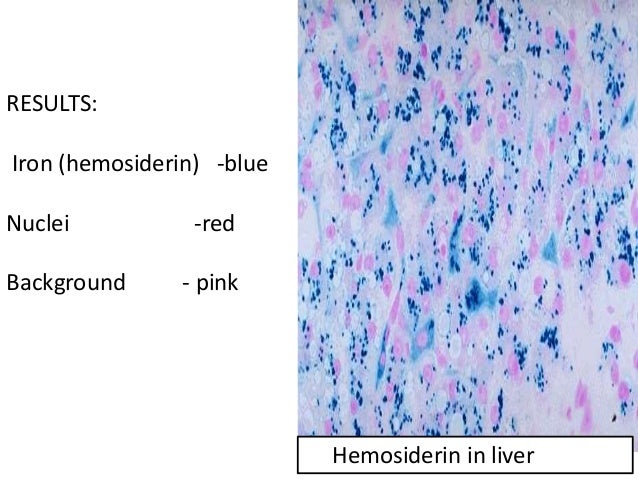 Special stain in histopathology