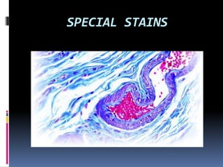 Special stains | PPTX