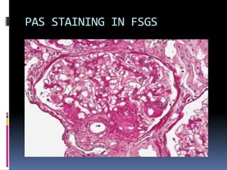 Special stains | PPTX