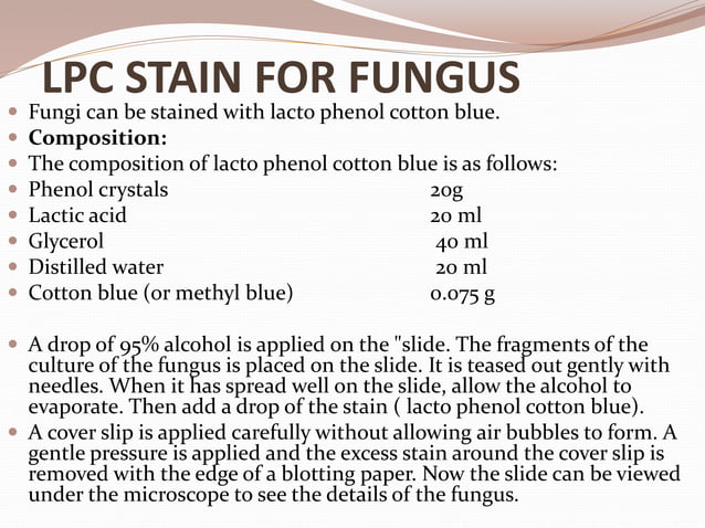 Special stains useful in Microbiology laboratory | PPTX | Chemistry ...