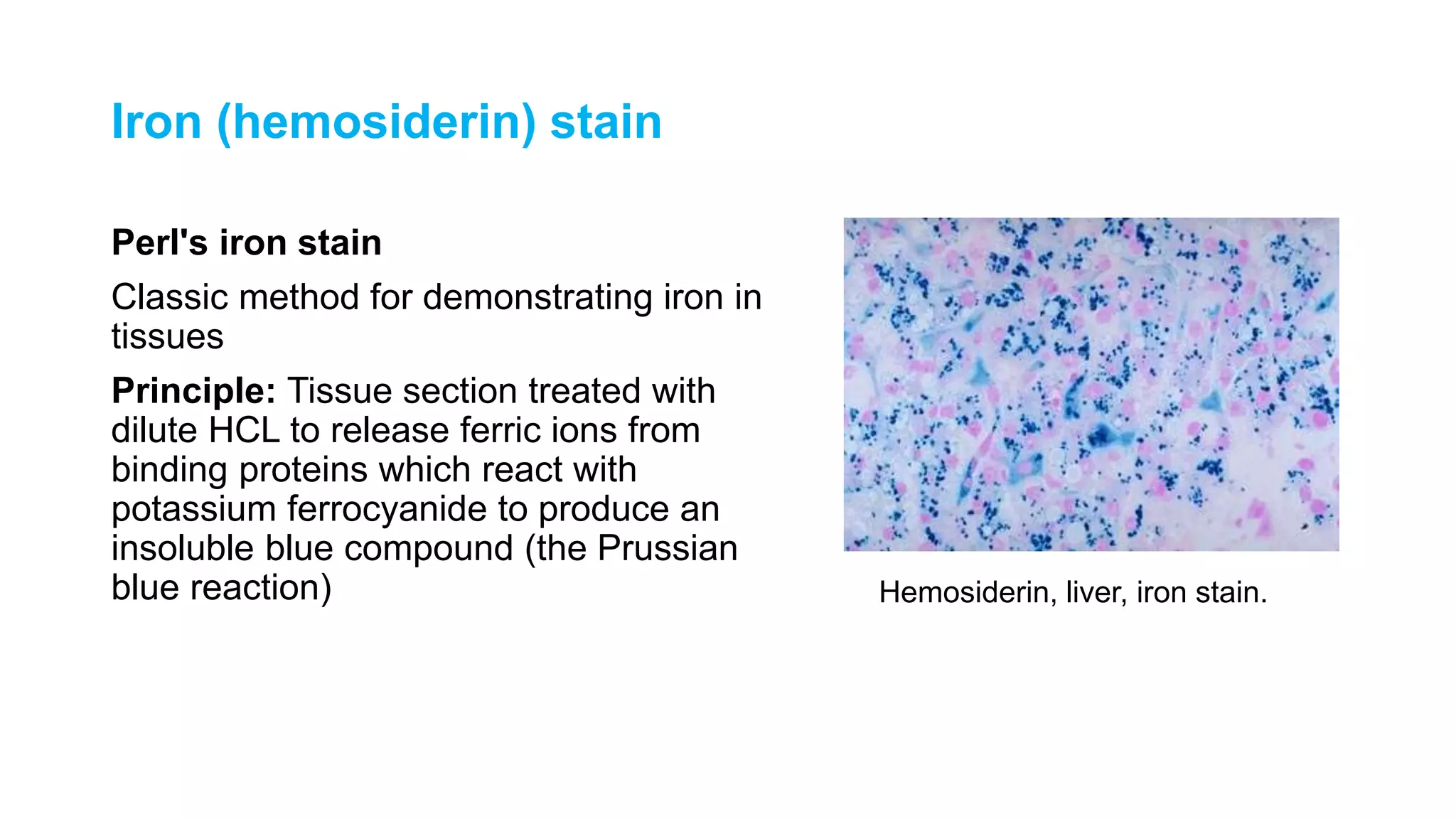 Special stains | PPTX